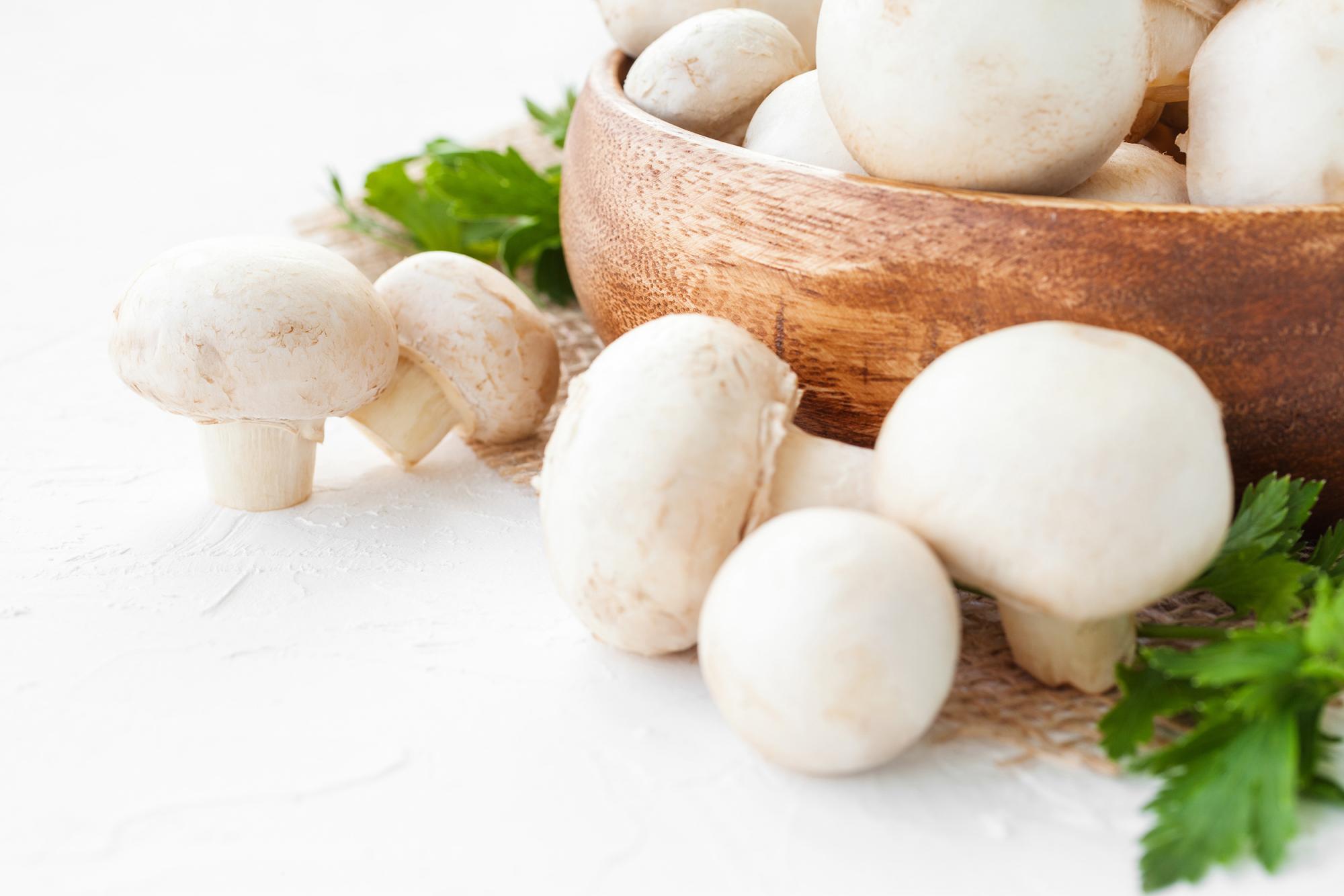 Biologische witte champignon - Limax paddenstoelen
